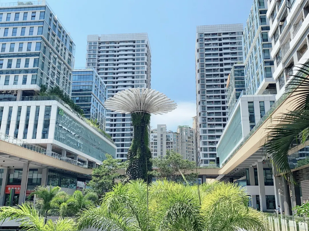 Shenzhen San Diego Apartment - Shenzhen