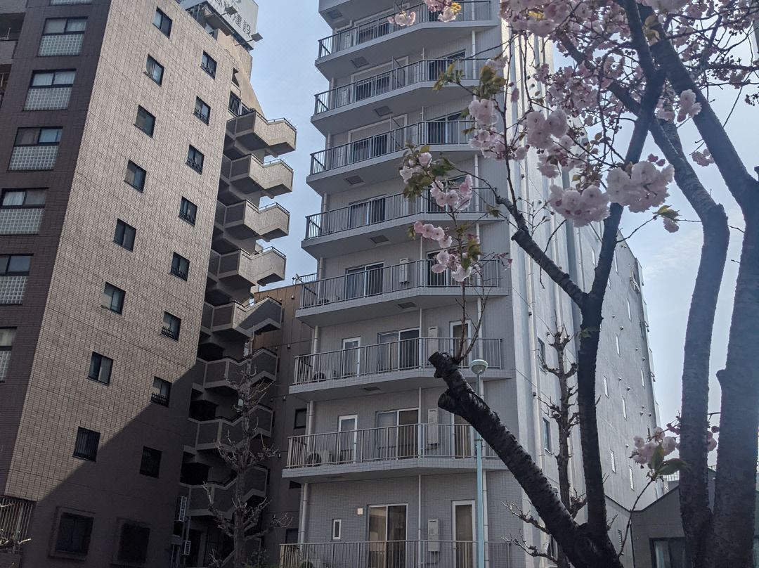 Hotel Tomos Asakusa - Asakusa