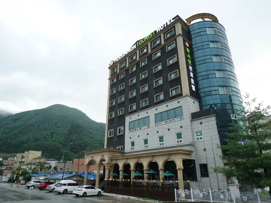 Persimmon Tourist Hotel - Andong-si