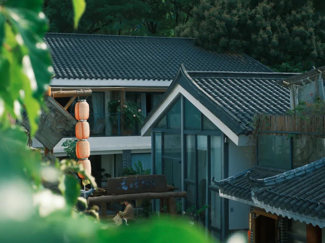 Under The Camphor Tree Guesthouse - Shenzhen