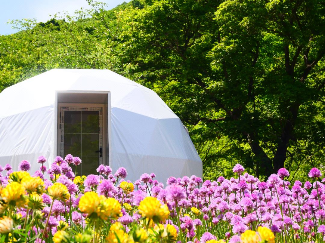 Glampark Otaru Hanaemi - Otaru