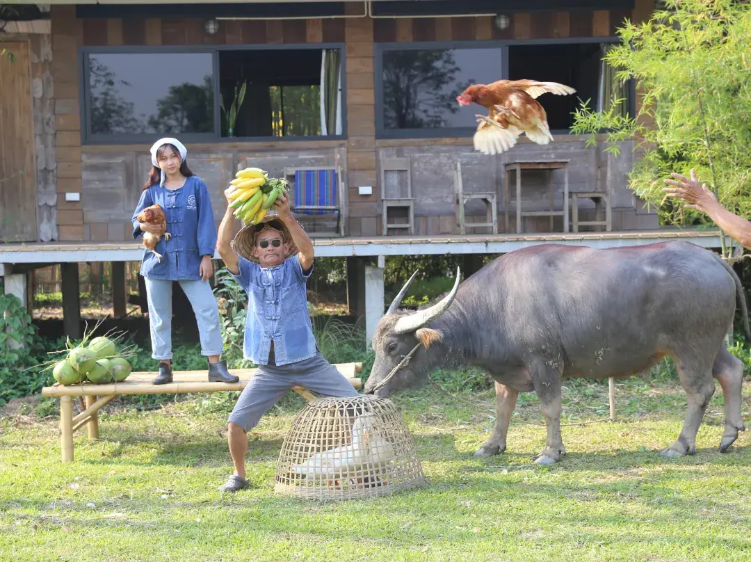 Hang Tueng Farmstay And Workshop Chiang Mai - Chiang Mai