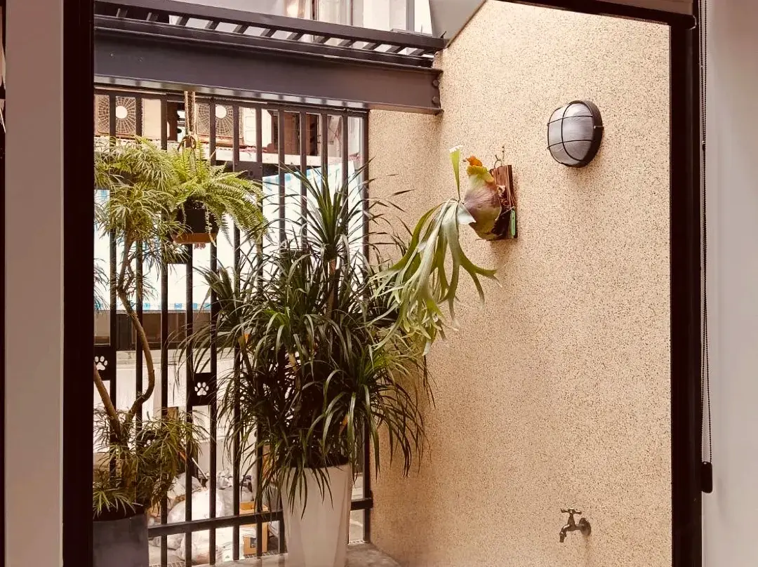 Paw-some Hostel - Hualien