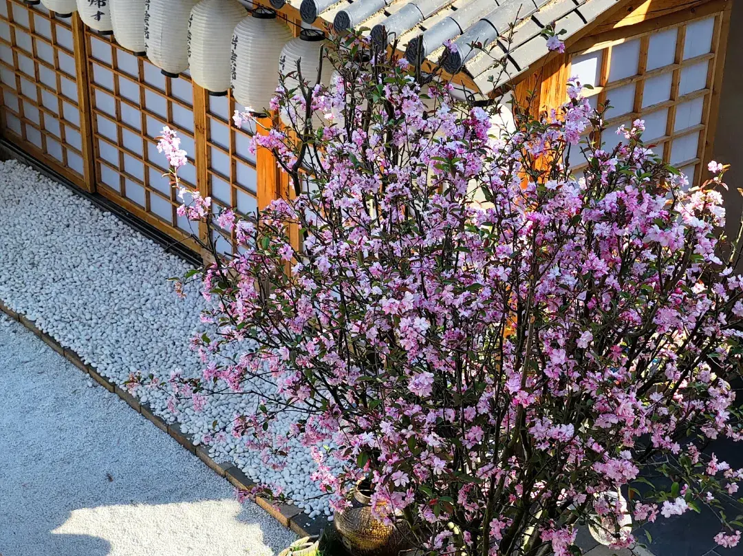 Pianyungui Boutique Homestay - Kunming