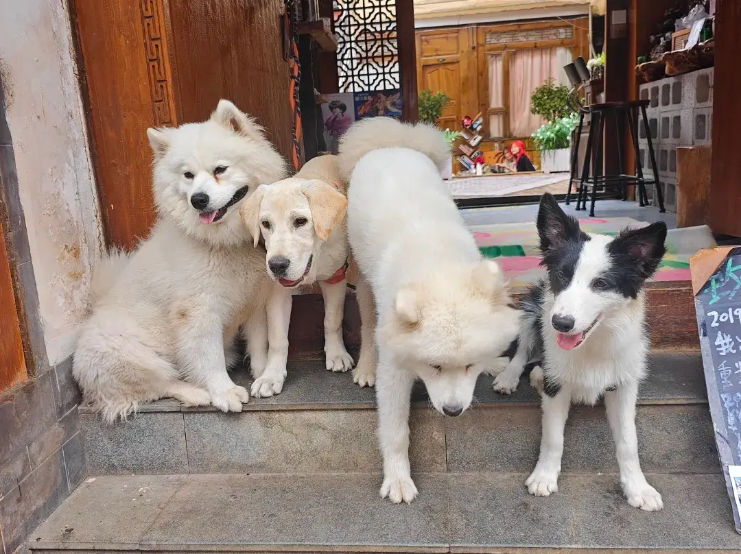 Melody Echo  Courtyard - Lijiang