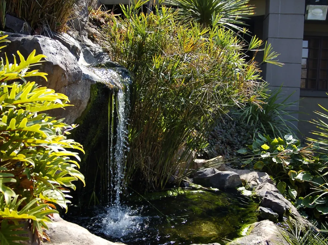 Waterfalls Boutique Hotel - Centurion
