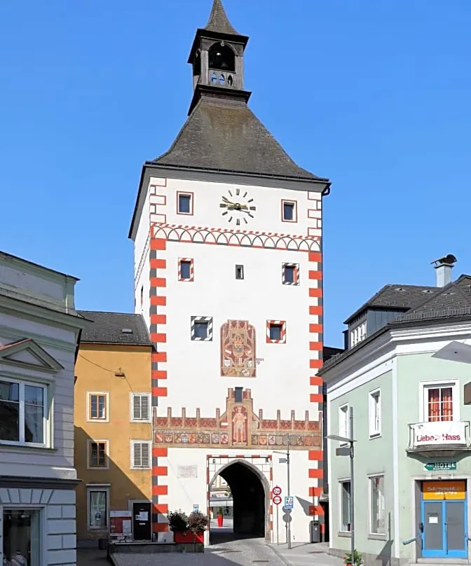 Stadthotel Restaurant Auerhahn - Attersee