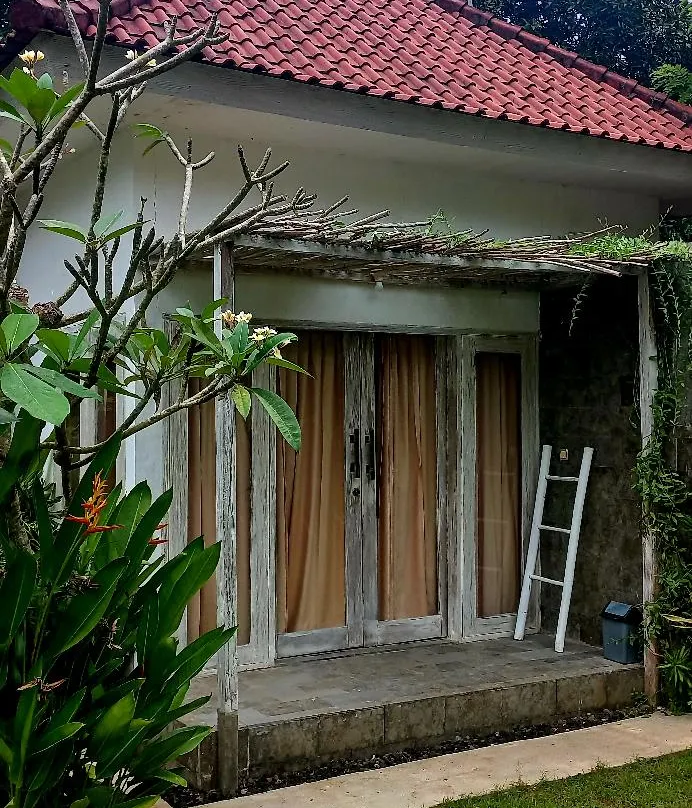 Castaway Island Hostel - Bali