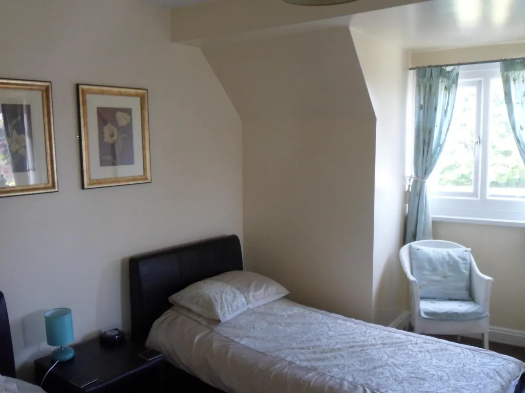 The Shoes - 達拉謨