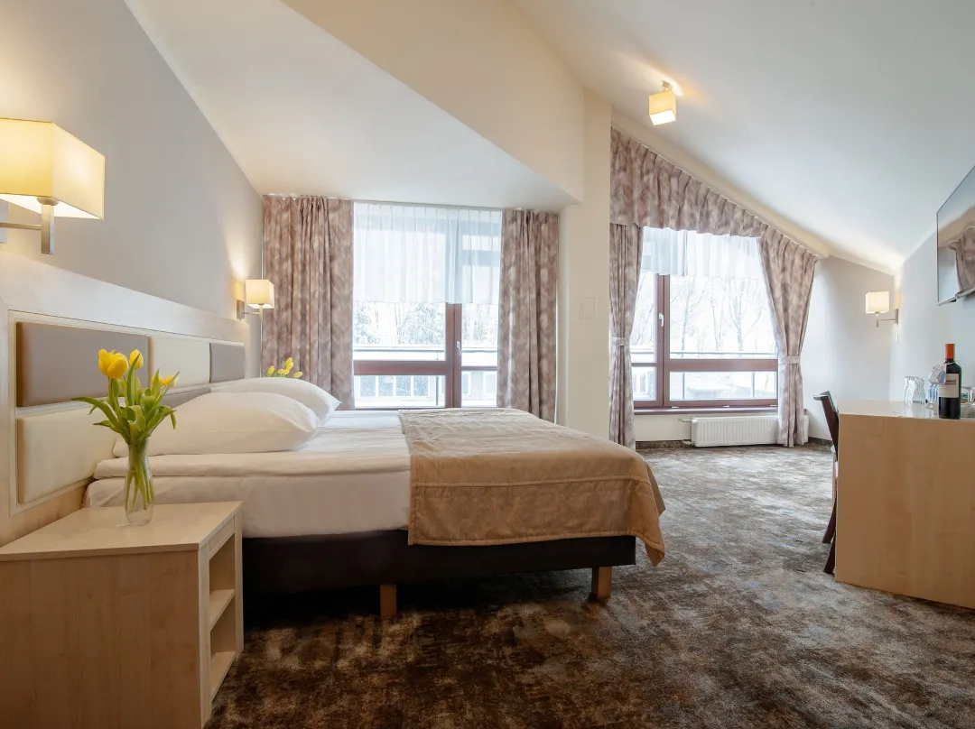 Hotel Diament Ustroń - Ustroń