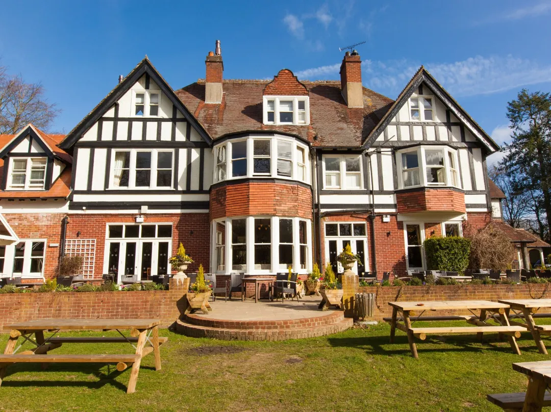 The White Buck - Brockenhurst