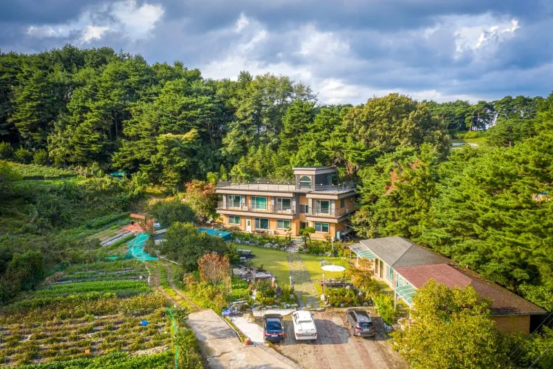 Gangneung Scent Of Earth & Pine - Gangneung-si