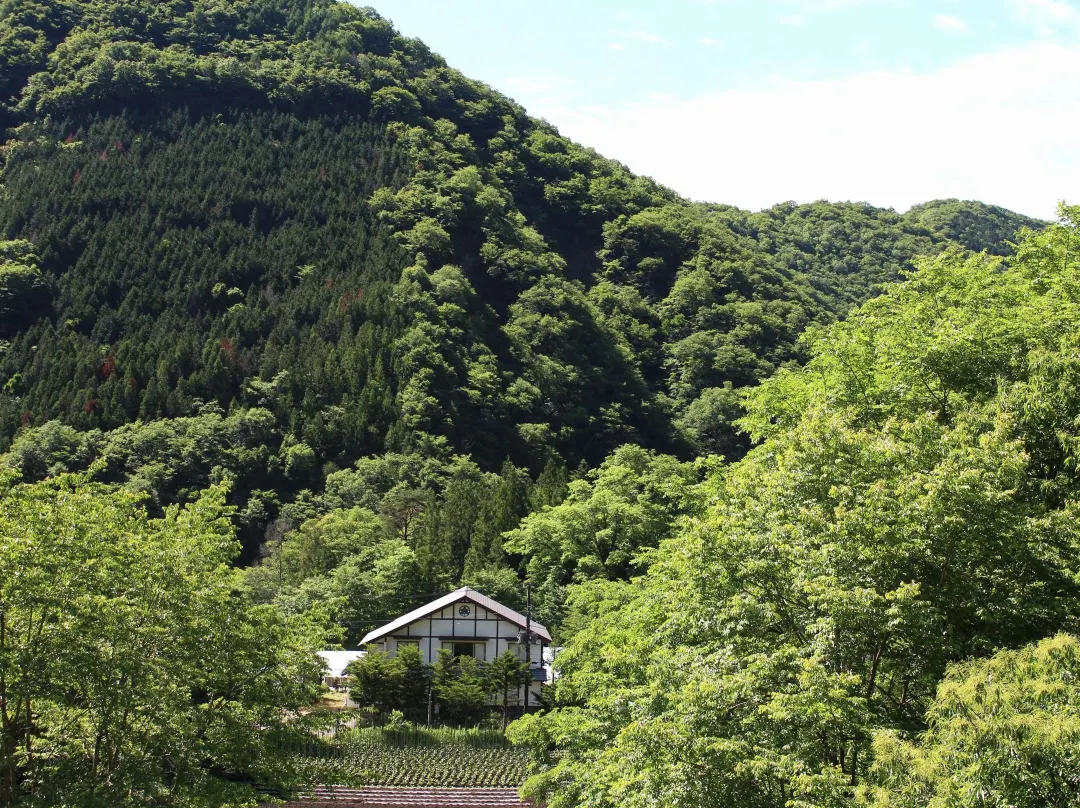 Yamahisa Inn - Nikko