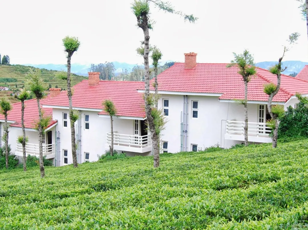 Palve Sugavasam - Ooty
