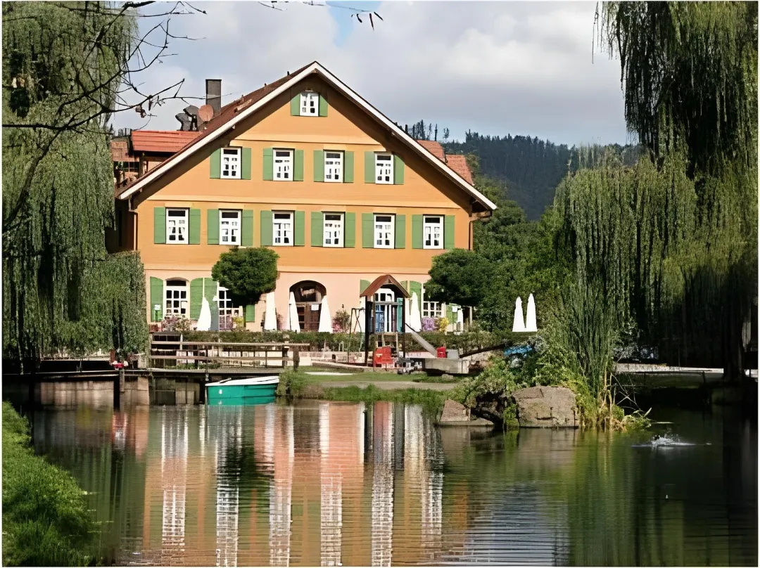 Hotel Zur Alten Mühle - Black Forest