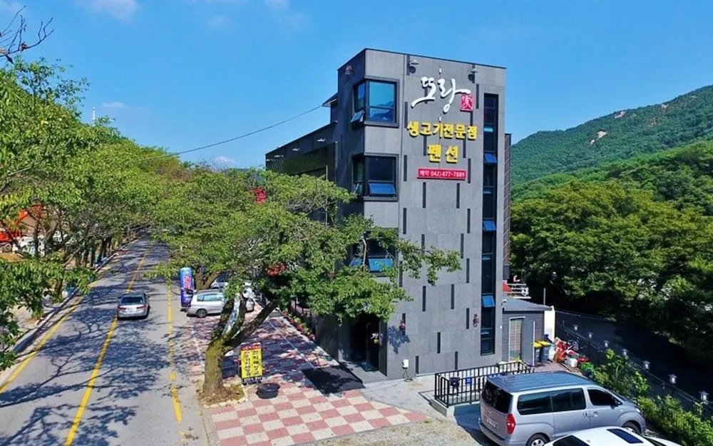 Gyeryongsan Donghaksa Toranga Pension - Daejeon