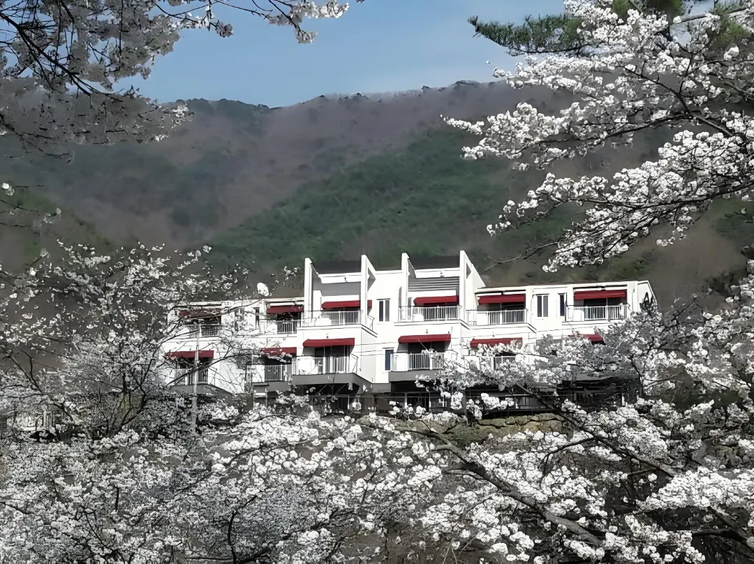 Maple Valley - Gwangyang-si