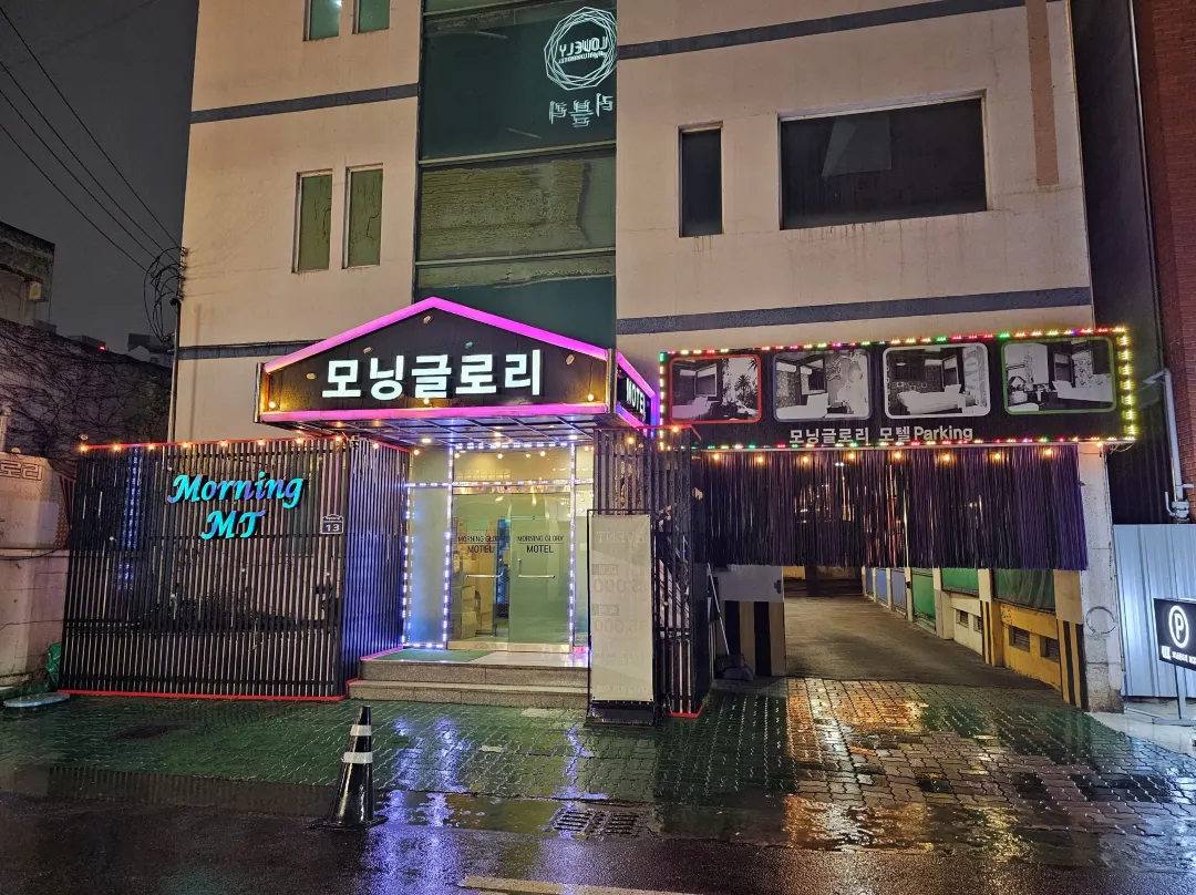 Morning Glory In Bonri-dong, Daegu - Tegu