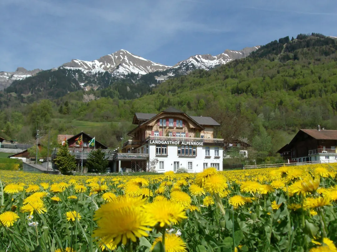 Hotel Alpenrose Beim Ballenberg - Brienz