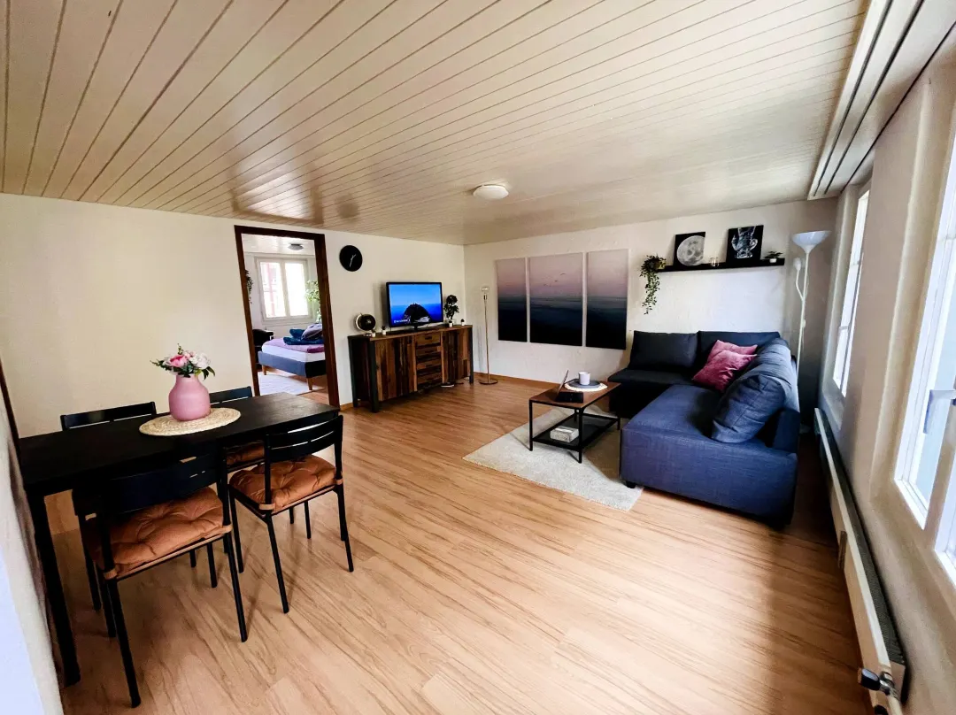 Bel Appartement Dans Un Immeuble Ancien Récemment Meublé Dans Le Centre Avec Apple Tv - St. Gallen