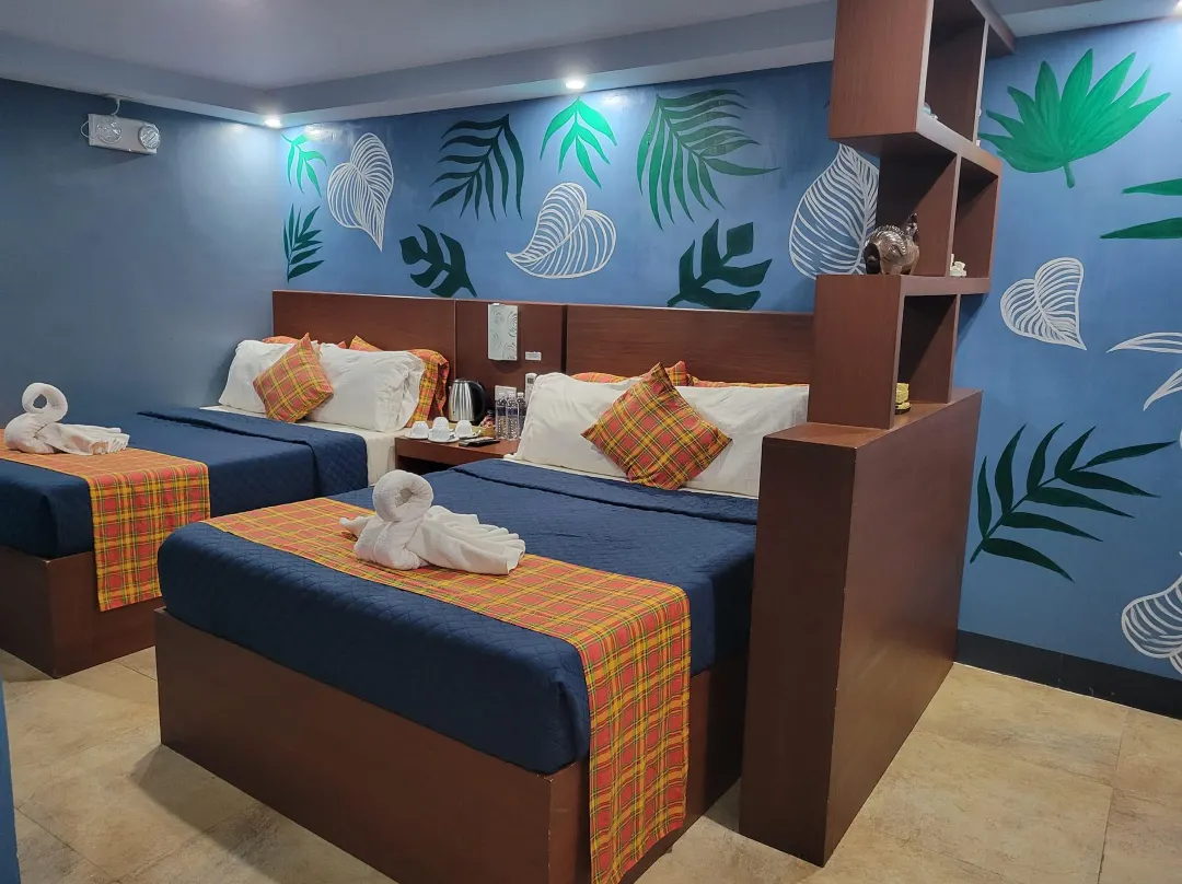 Amazing Coast Co. Ltd. - San Jose de Buenavista