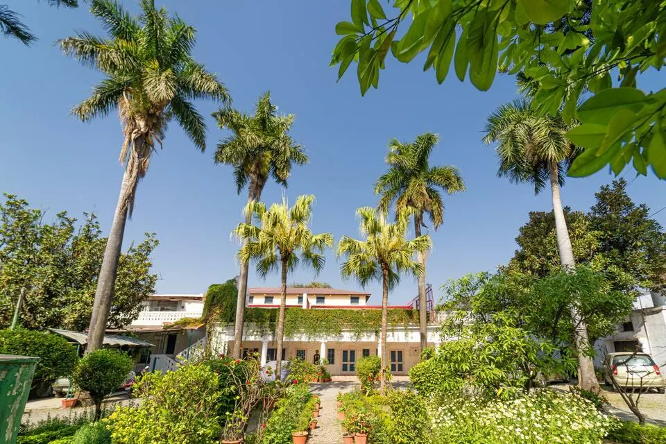 Mango Tree Courtyard Dehradun - Dehradun