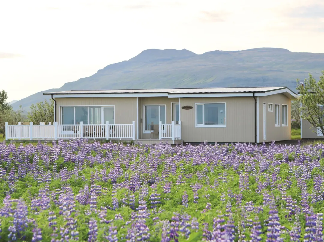 Lynghagi House - Islande