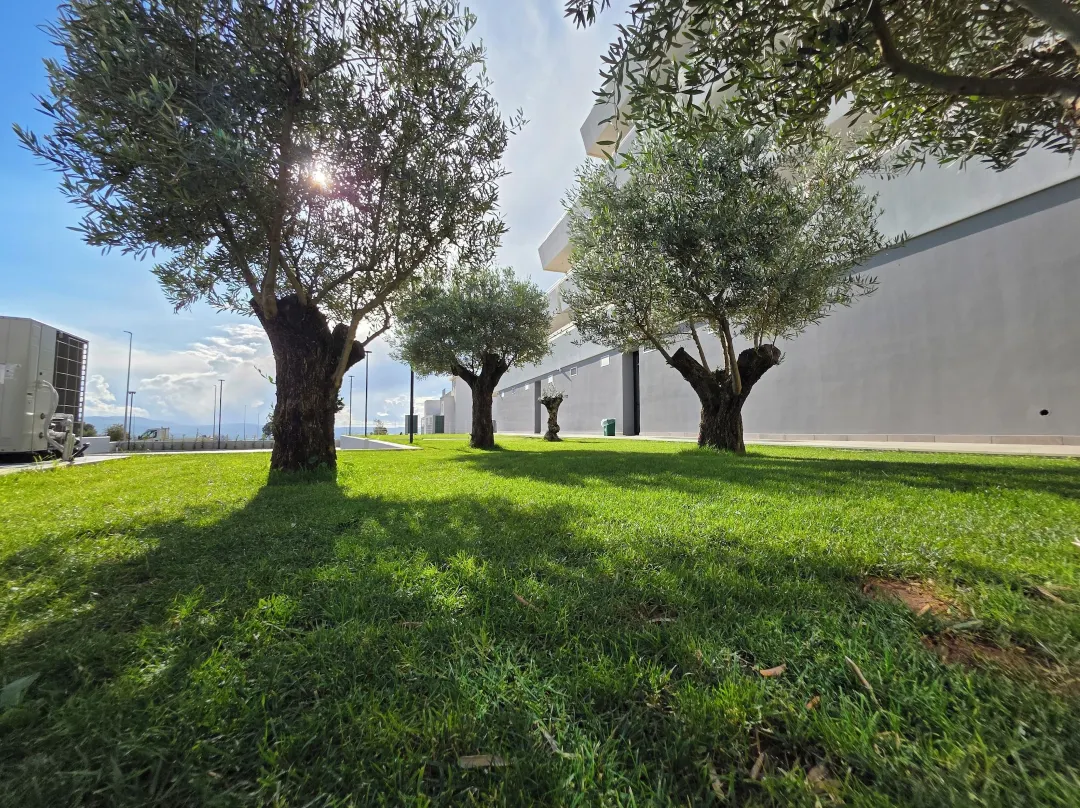 Lamezia Living - Lamezia Terme
