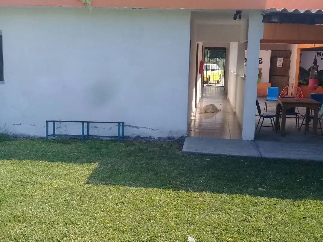 Hospedaje Familiar Op2 - Guerrero