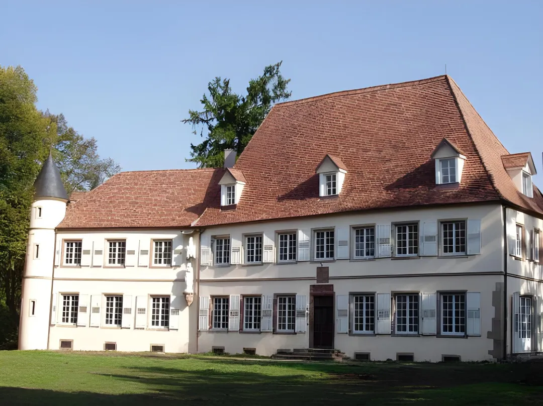 Château De Werde - Selva Negra