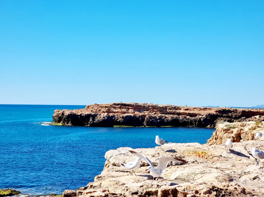 Apto Con Jardín Y Playa - Torrevieja