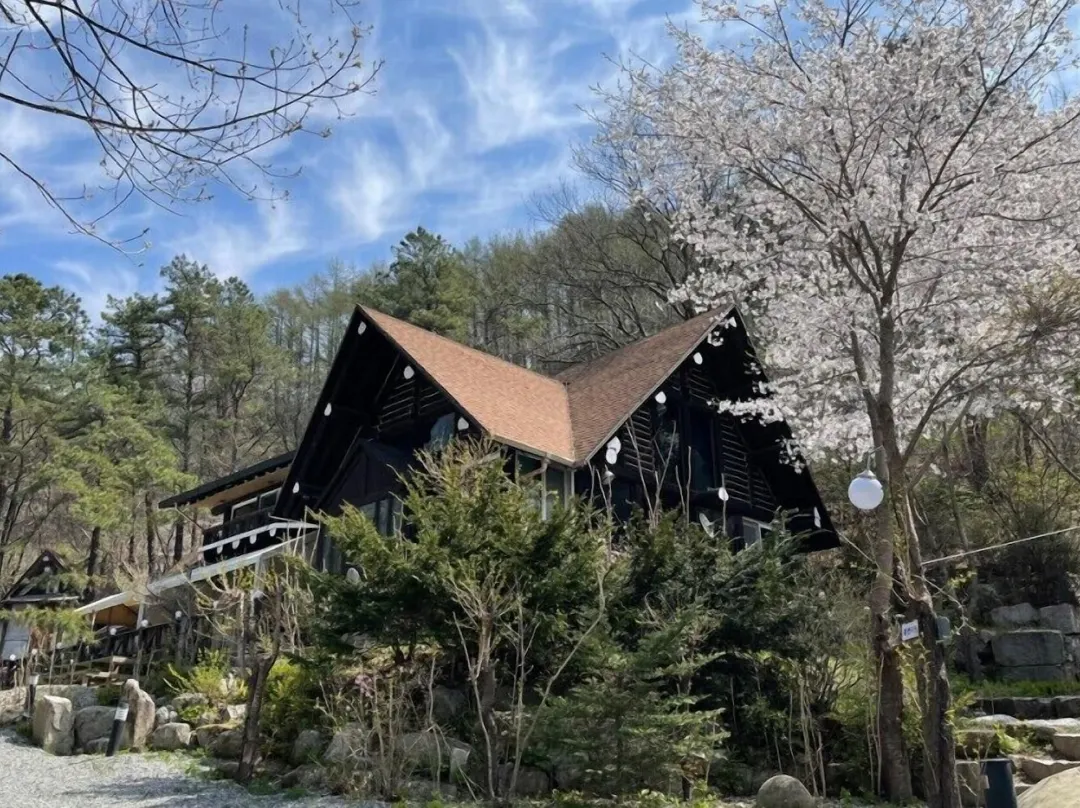 Vivaldi House - Pocheon-si