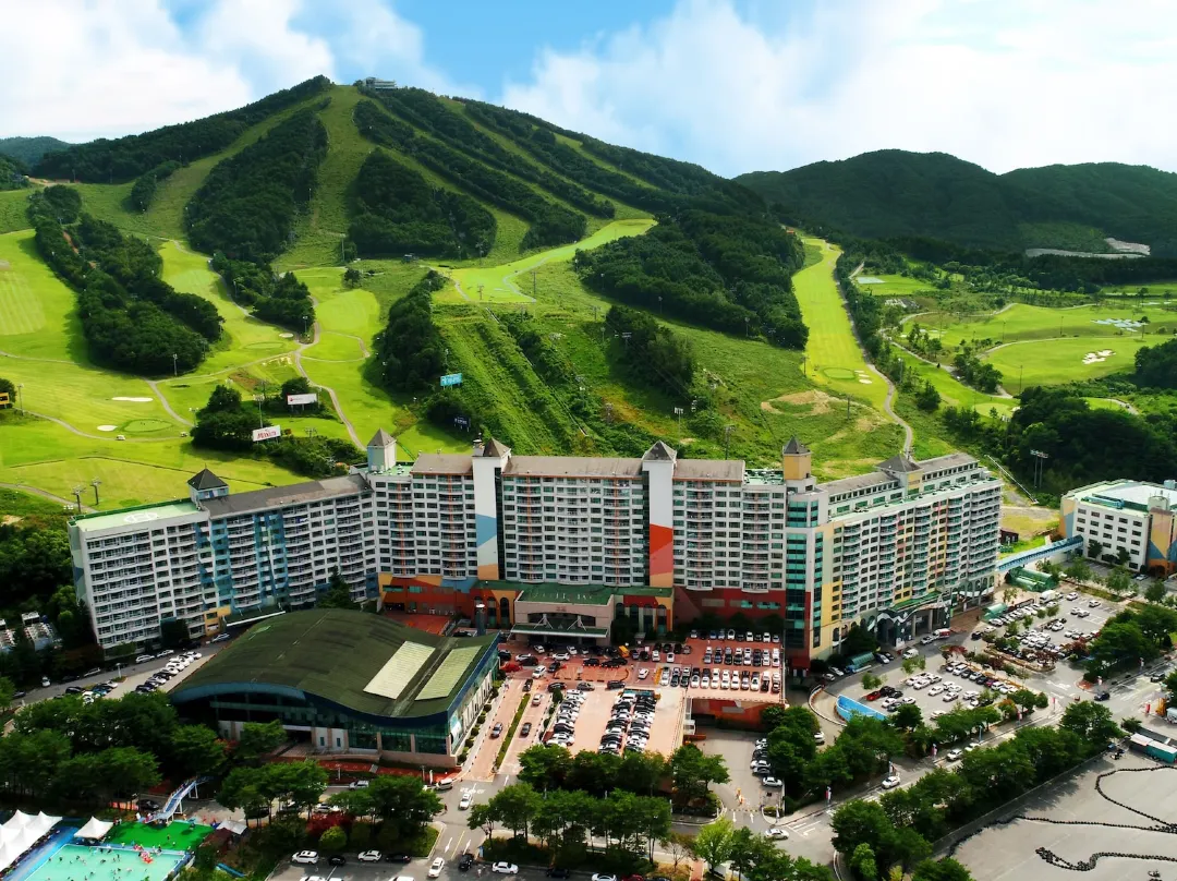 Wellihilli Park Resort - 제천시