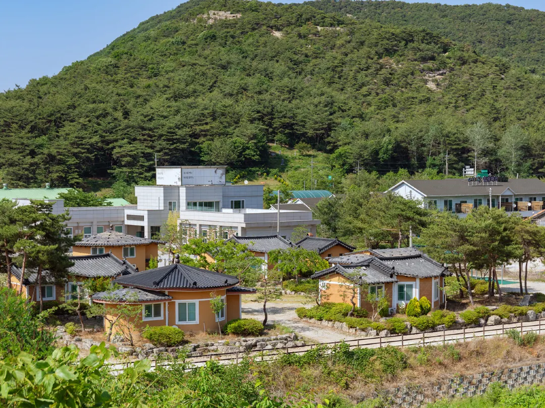Gochang Hwangto Bokbunja Pension - 光州