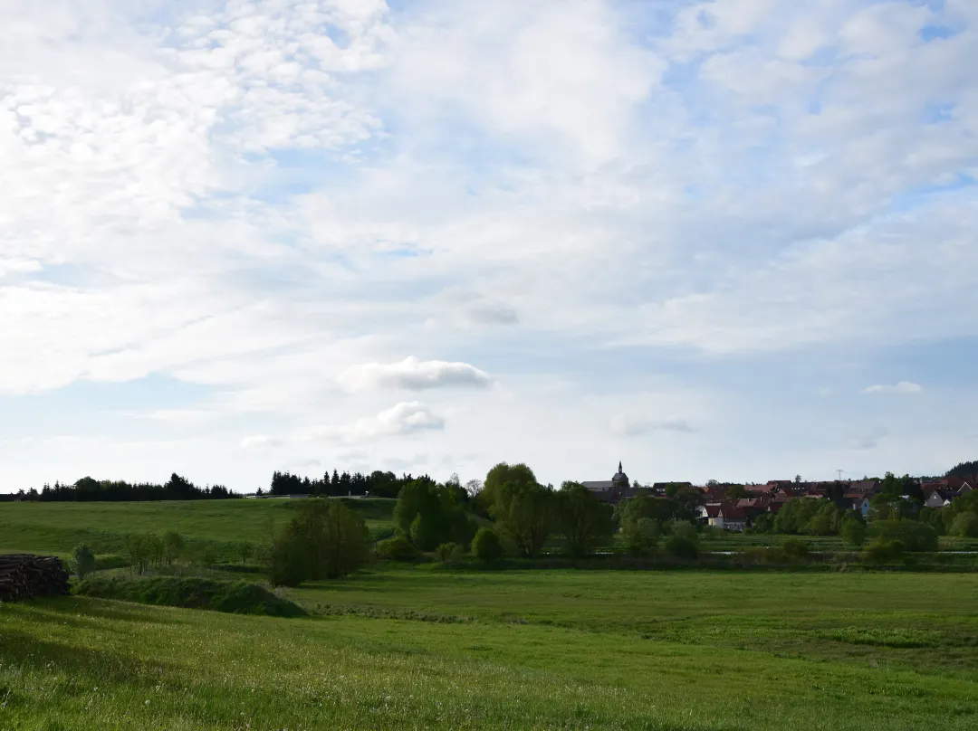 You Will Like This Home In The Harz Mountains - Hasselfelde