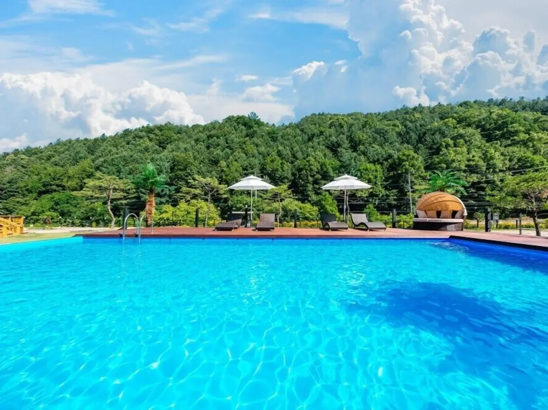 Rosedeil - Yangpyeong-gun