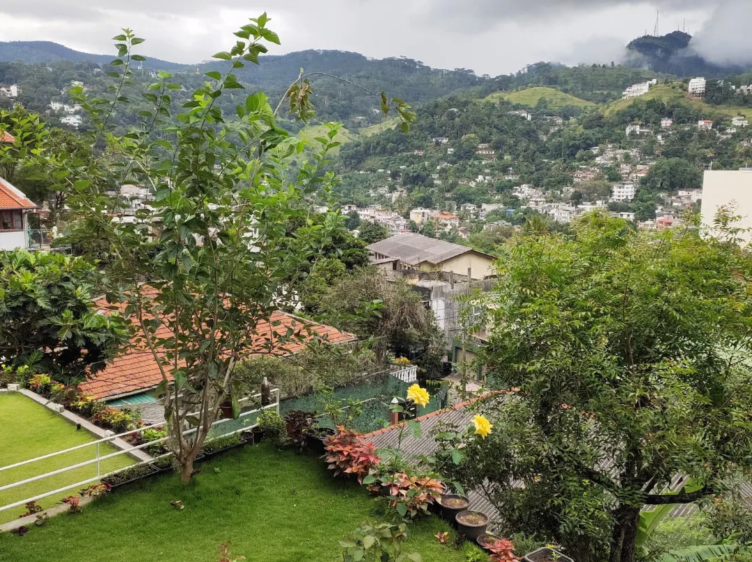 Marvel Hills Kandy - Kandy