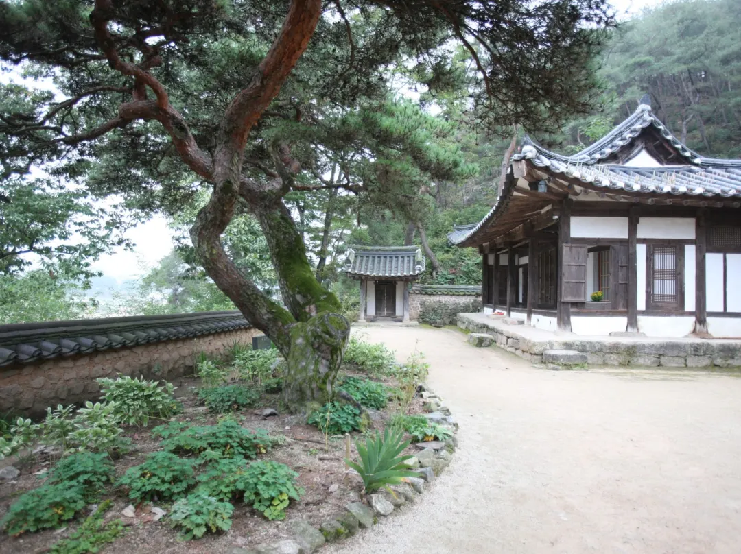 Okyeon Jeongsa - Gumi-si