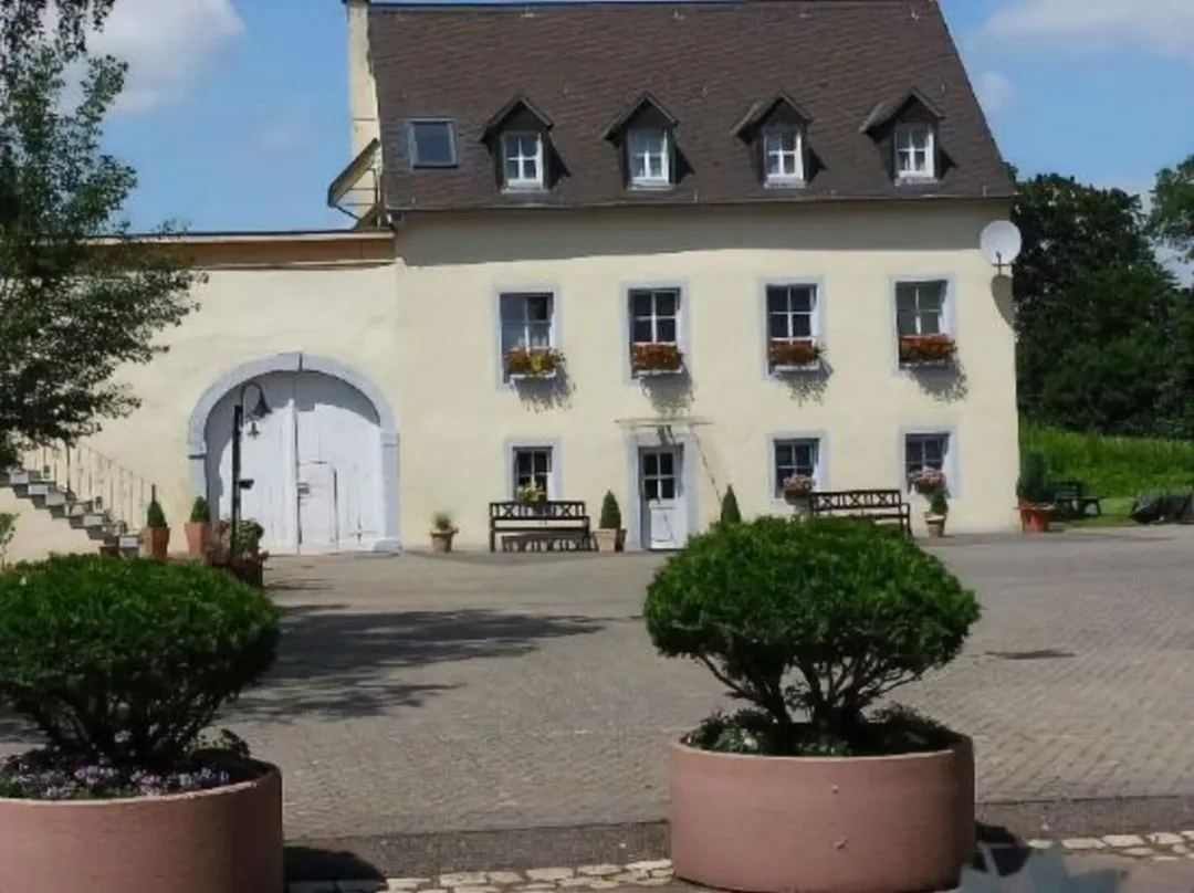 Berghotel Kockelsberg - Trier