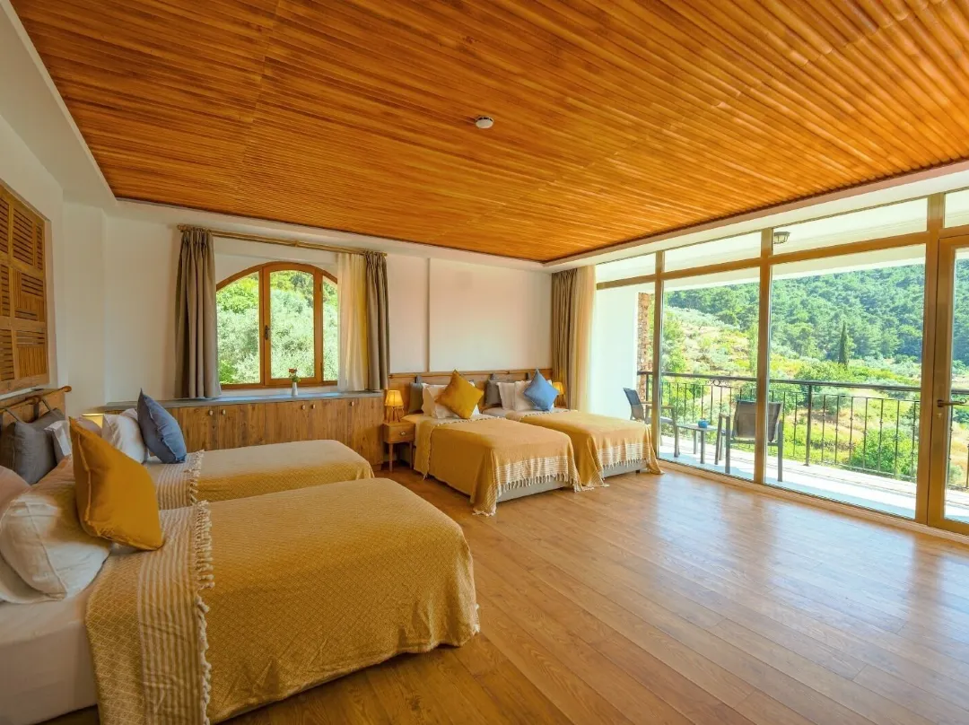 Ephesus Retreat - Aydın