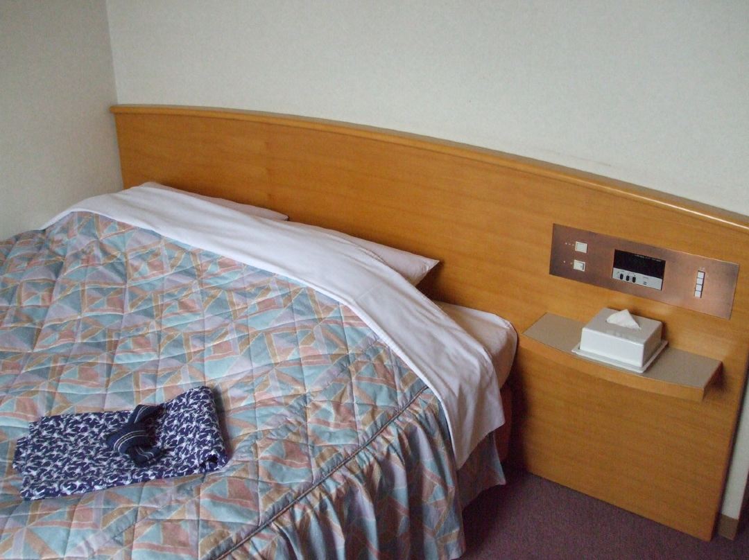Hatago Tsuruya Hotel - Komoro