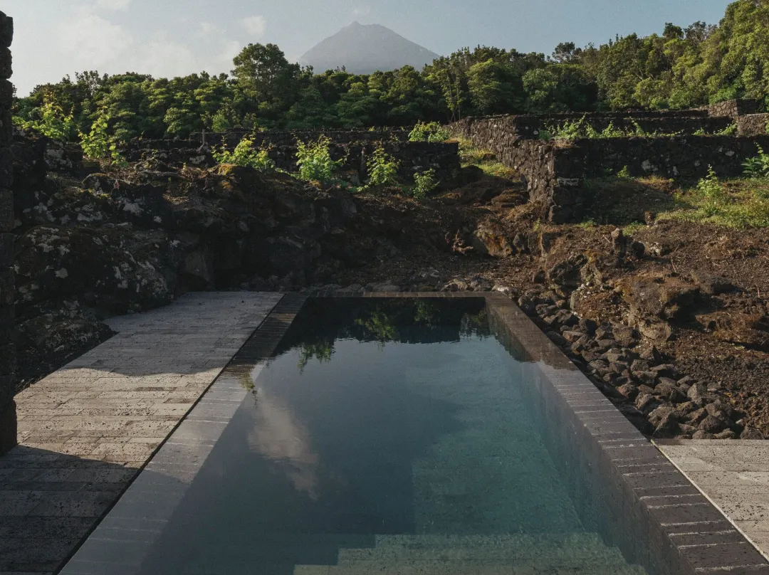 Pico Vineyards - By Unlock Hotels - Ilha do Pico