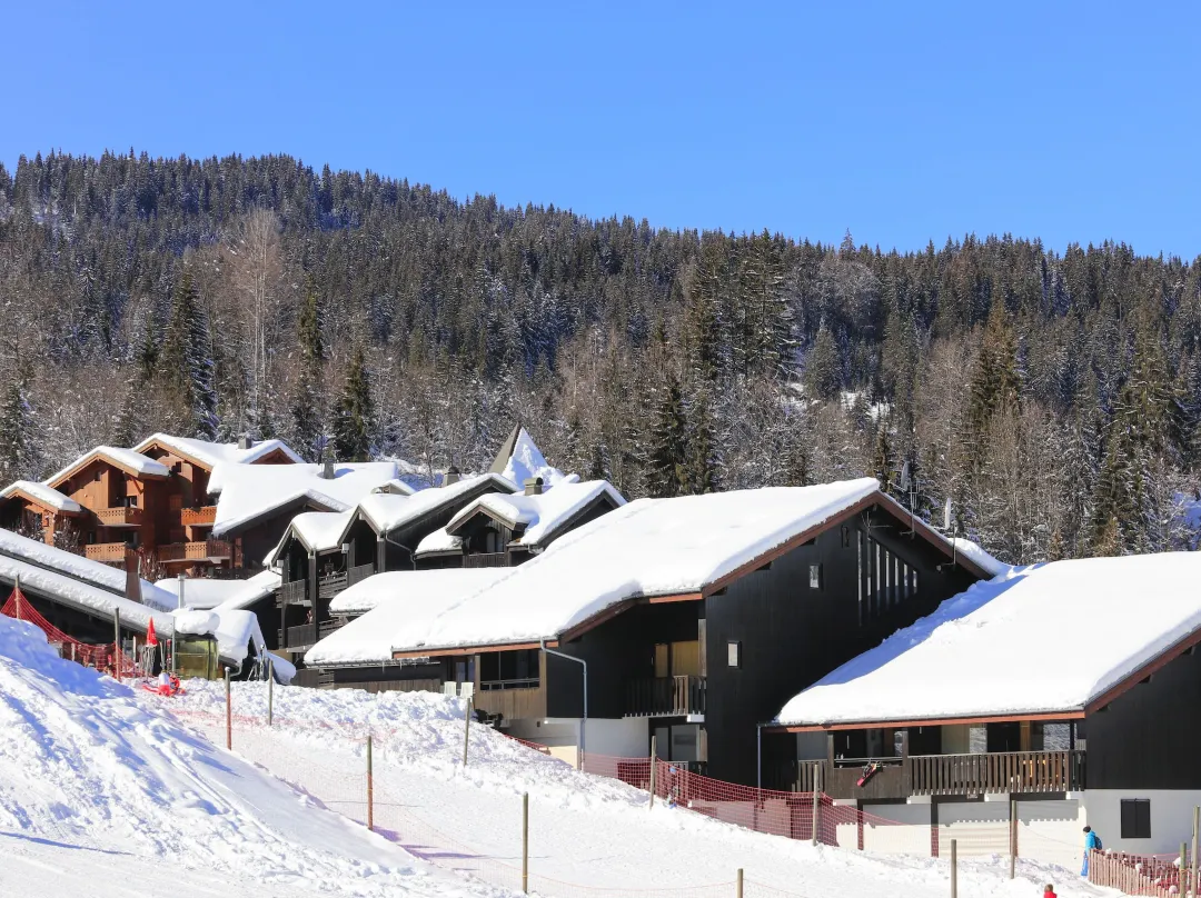 Apartment In Morillon Near Ski Resort - Morillon