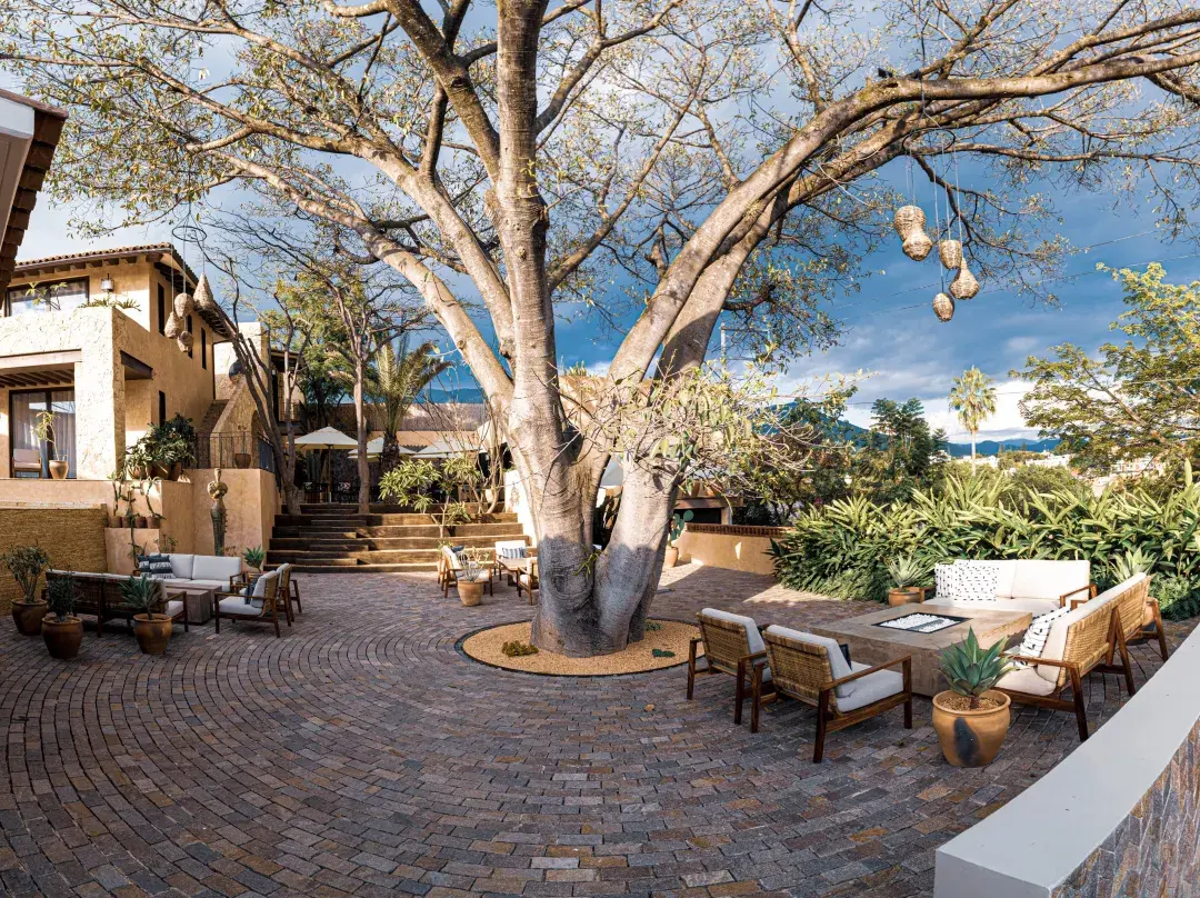 Hotel Casa Santo Origen - Oaxaca