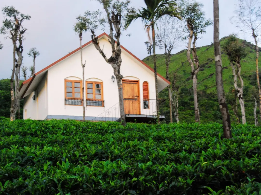 Tea Terrace Vythiri Resort - Wayanad