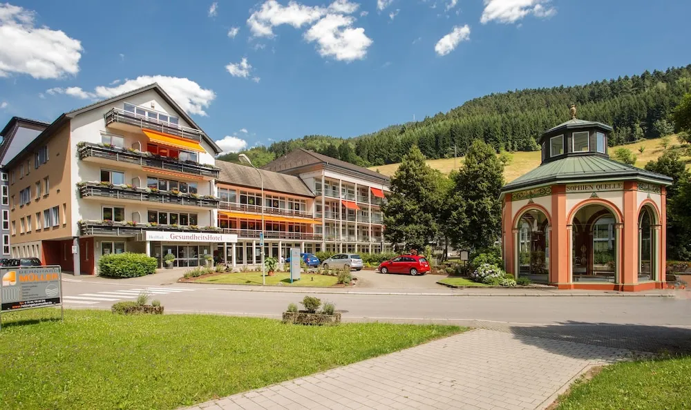 Gesundheitshotel Das Bad Peterstal - Bad Peterstal-Griesbach
