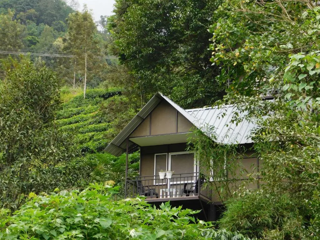Moselberg Riverside Cottages - Idukki