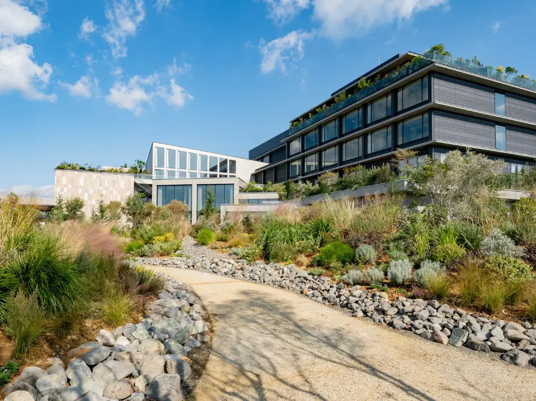 Greenity Iwata - Fukuroi