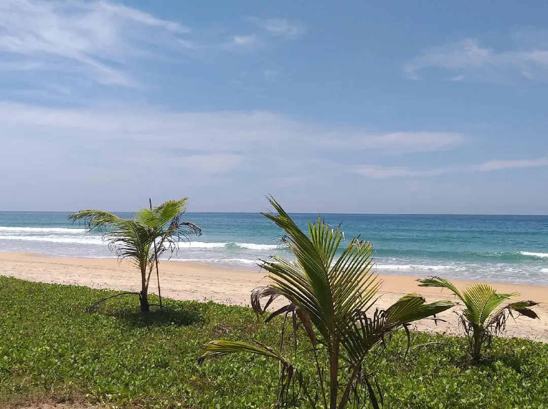 Majestic Beach Comforts - Goa