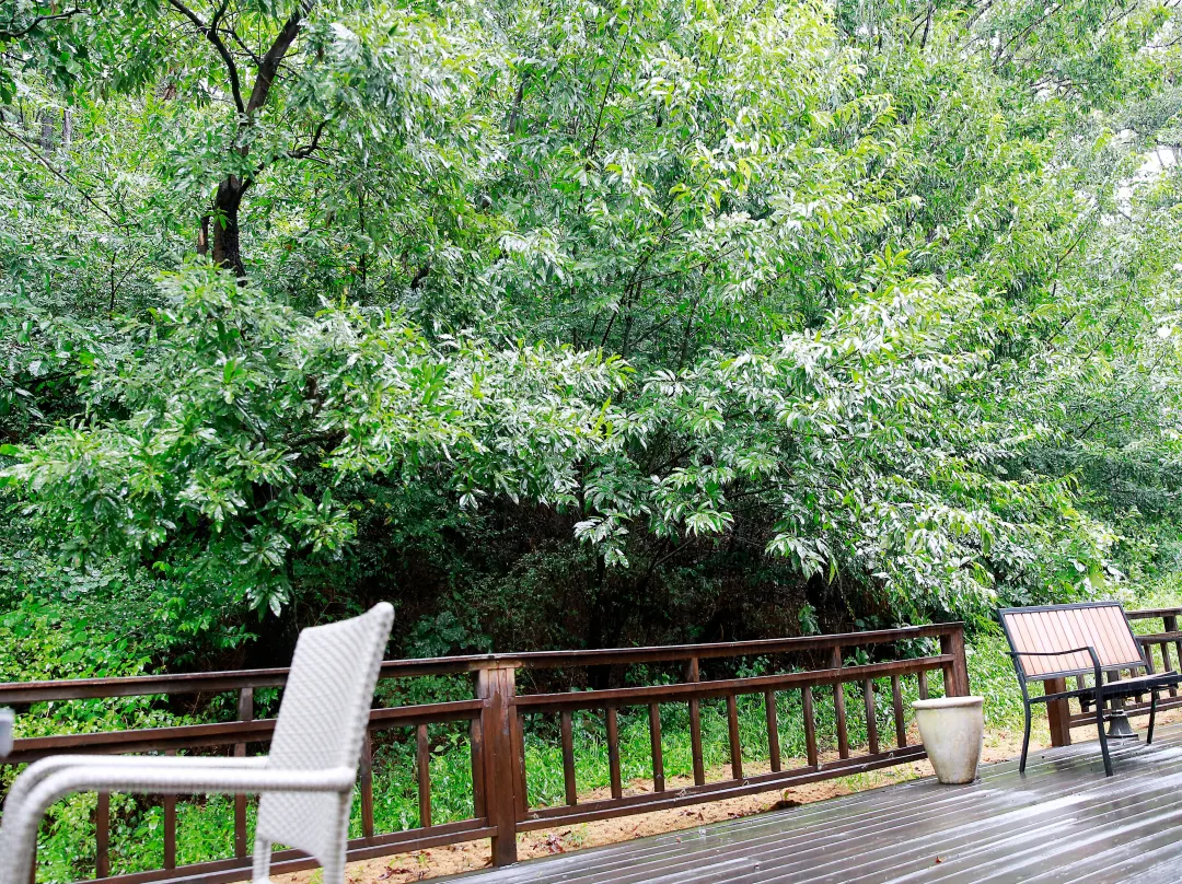 Paju Maribyeol Pension - Seoul